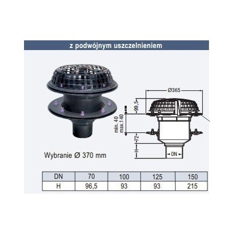 Kessel Ecoguss System 200 sifon pentru terasa, DN100, cu degivrare si ...